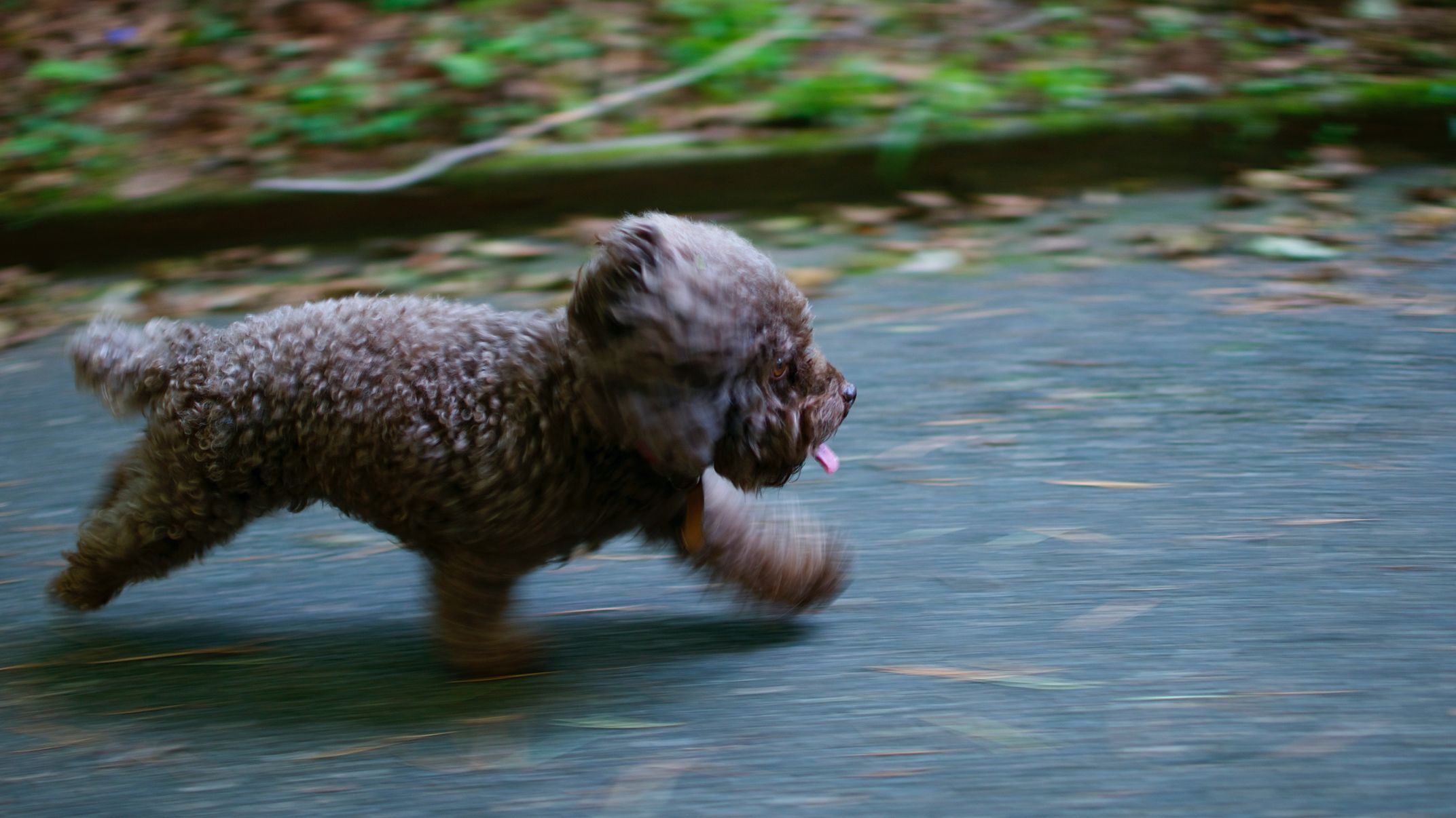 Academic: the website designer for Hugo | Chao ZHOU